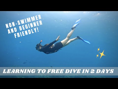 FREEDIVING FOR BEGINNERS | HOW TO FREE DIVE | FREE DIVING IN BATANGAS ...