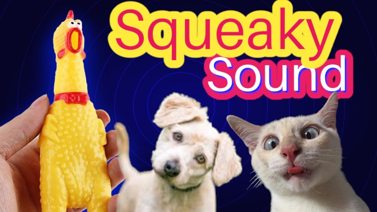 Dog Squeaky Toy Sounds that attract dogs HQ Sound - YouTube