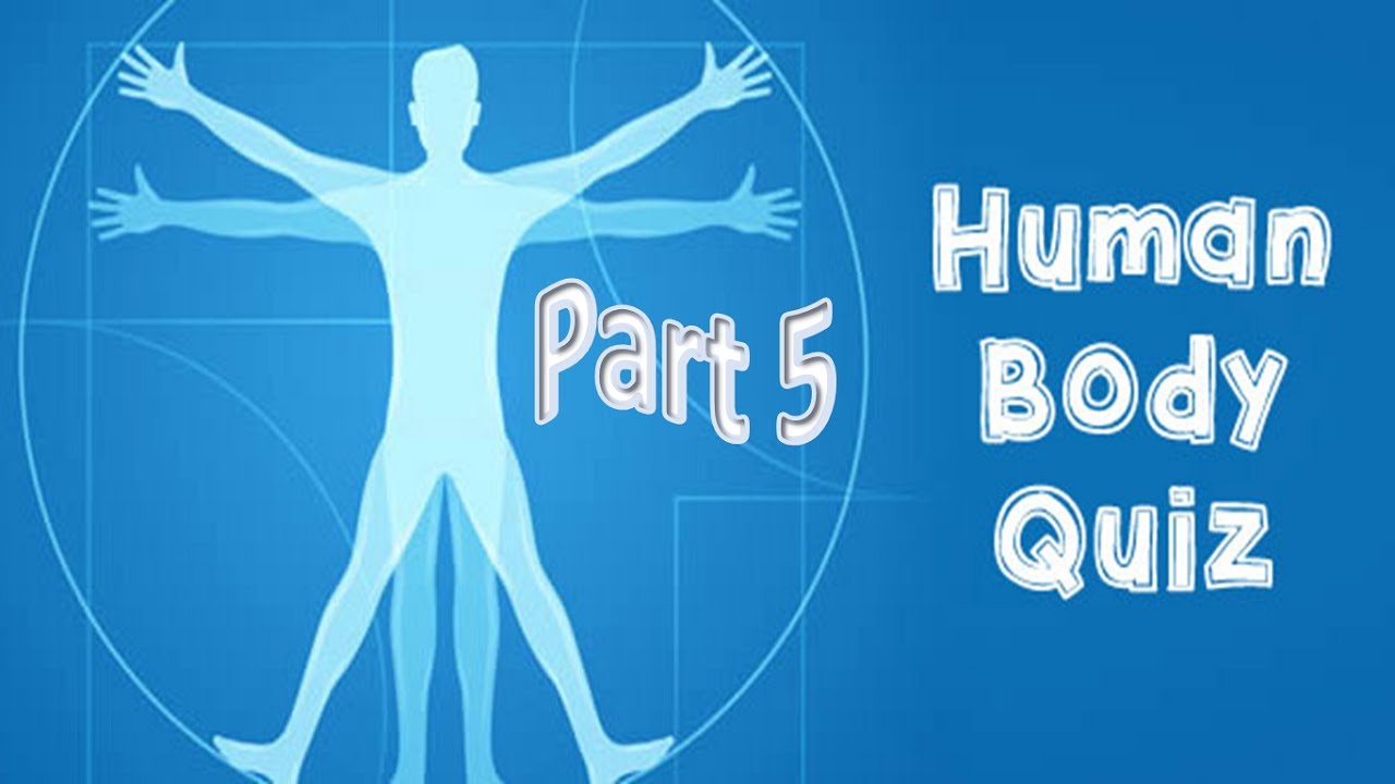 General Knowledge Quiz on Human Body Quiz Part 5 - YouTube