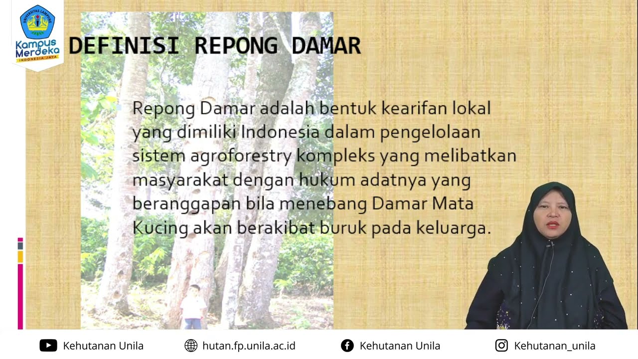 14. KHT - Ekosistem Repong Damar - Repong Damar - YouTube