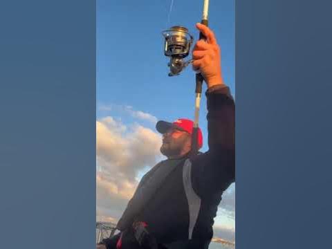 Pesca ao choco e lulas - YouTube