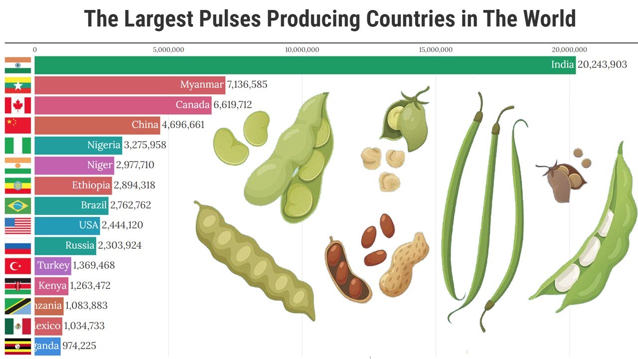 Data Is Beautiful - The Largest Pulses Producing Countries in The World ...