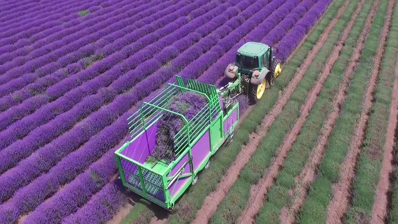 Modern Farming Machines & Technology that will Amaze You 1 - YouTube