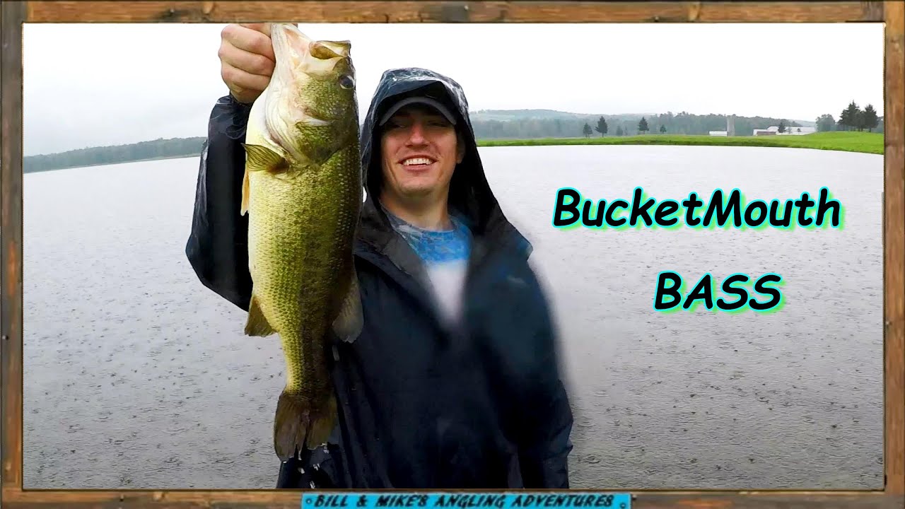 Big Ole BucketMouth - Gravel Pit BASS Fishing - YouTube