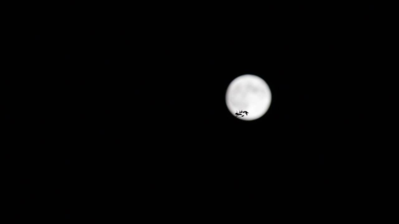 Full Moon Mother Nature YouTube full-moon-mother-nature-youtube