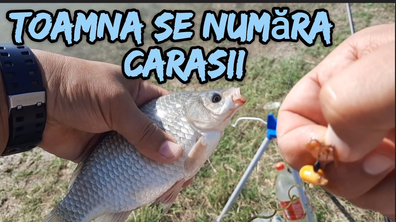 Pescuit la caras,toamna pe vânt - YouTube