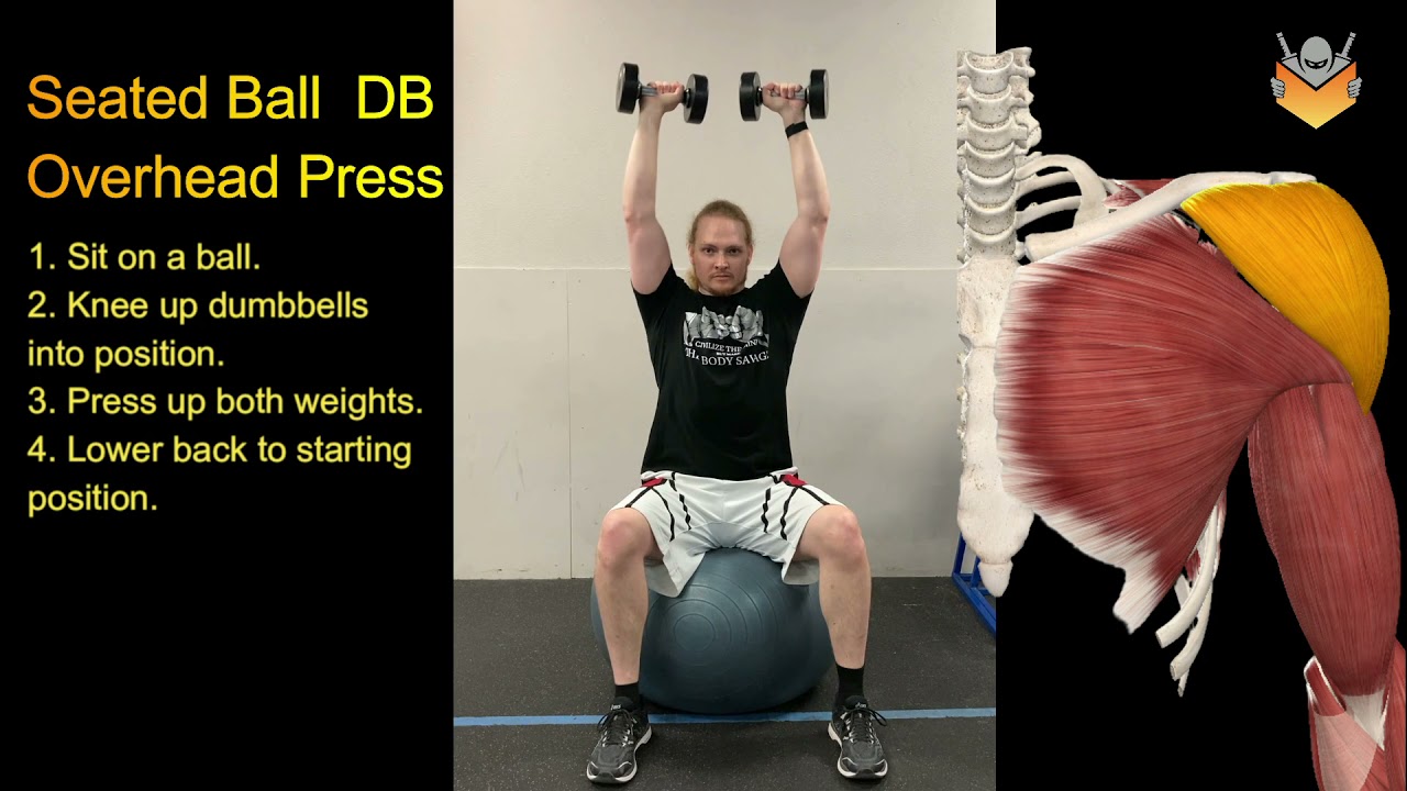 Seated Ball DB Overhead Press - YouTube