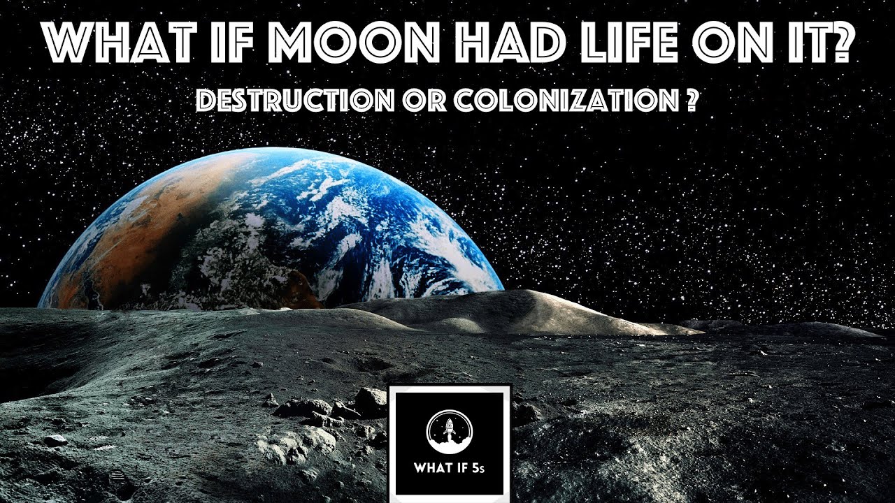 What If Moon had Life on It | Top 5 Facts If Moon Would be Habitable (A ...