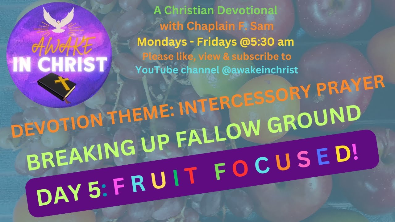 FRUIT FOCUSED! - YouTube