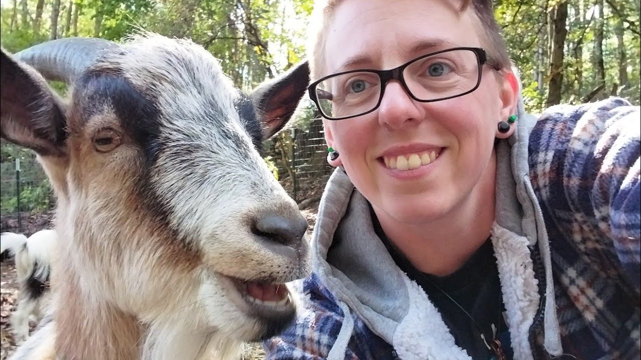 Are They Worth It? | Goat Questions Answered - YouTube