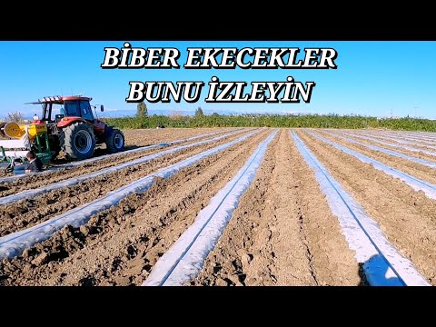 BU SENE BİBER EKECEKLER BUNU MUTLAKA İZLEYİN