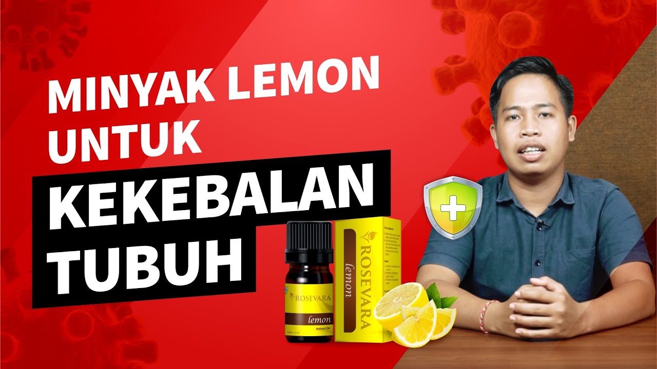 MANFAAT MINYAK ESSENSIAL LEMON UNTUK MENINGKATKAN SISTEM IMUN TUBUH ...