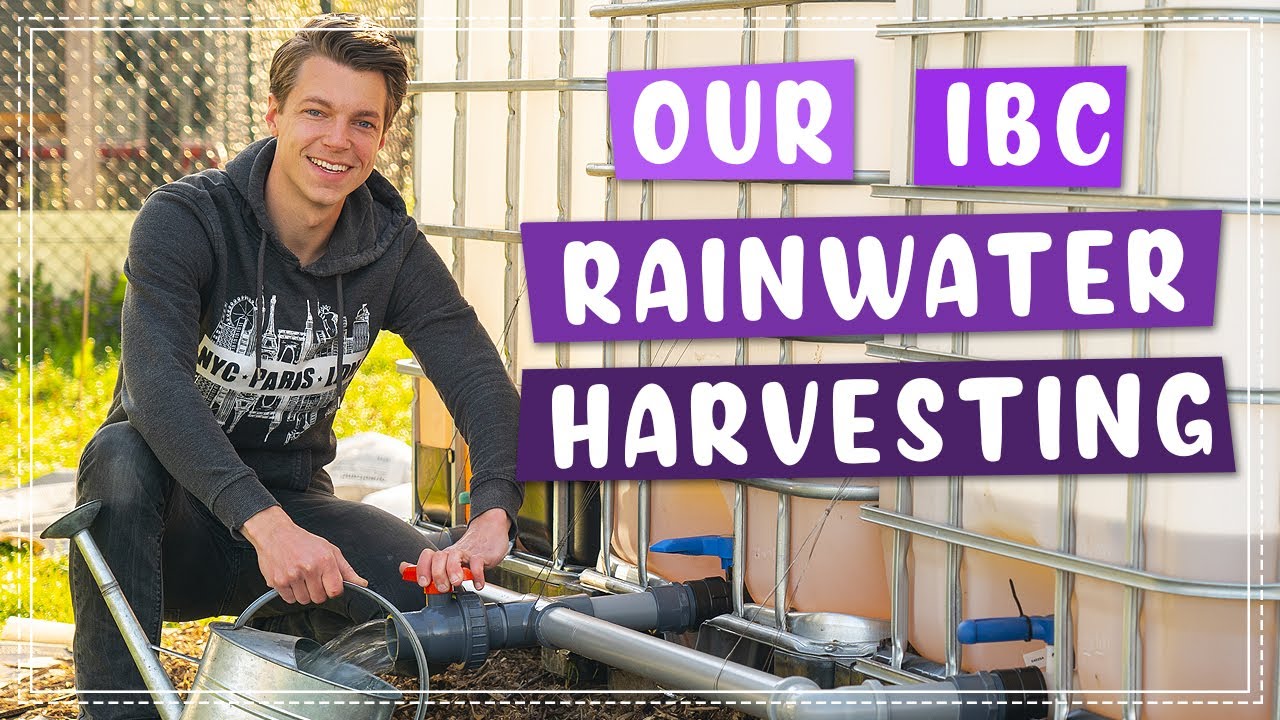 Rainwater capture system for the allotment - YouTube