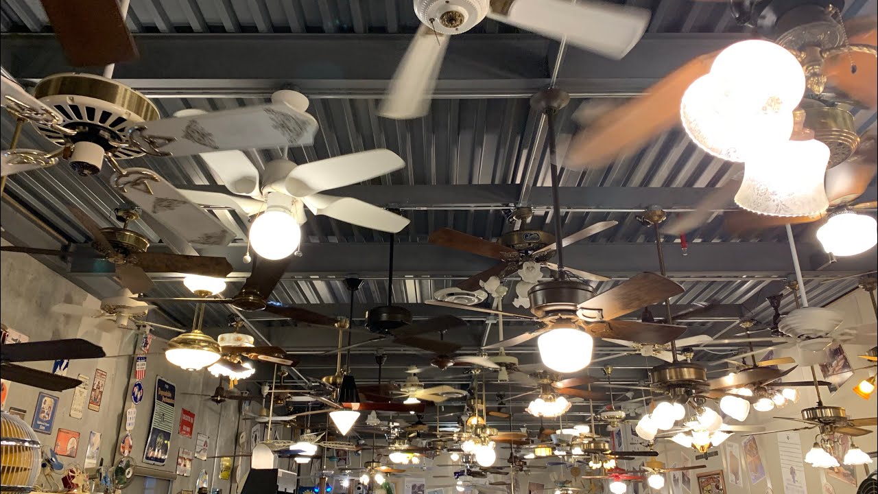 Fanimation Museum Upper Level Ceiling Fans - YouTube