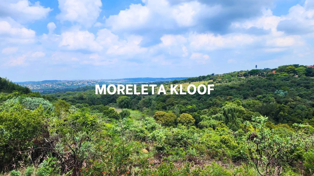 Hiking the Moreleta Kloof Nature Reserve - YouTube