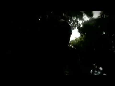 TT LEGEND CONOR CUMMINS HUGE CRASH - YouTube