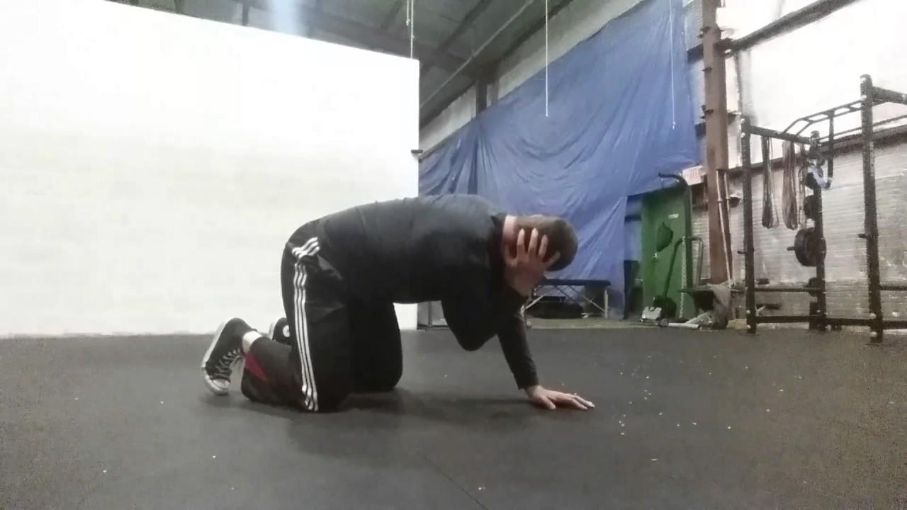 Quadruped Extension/Rotation - YouTube