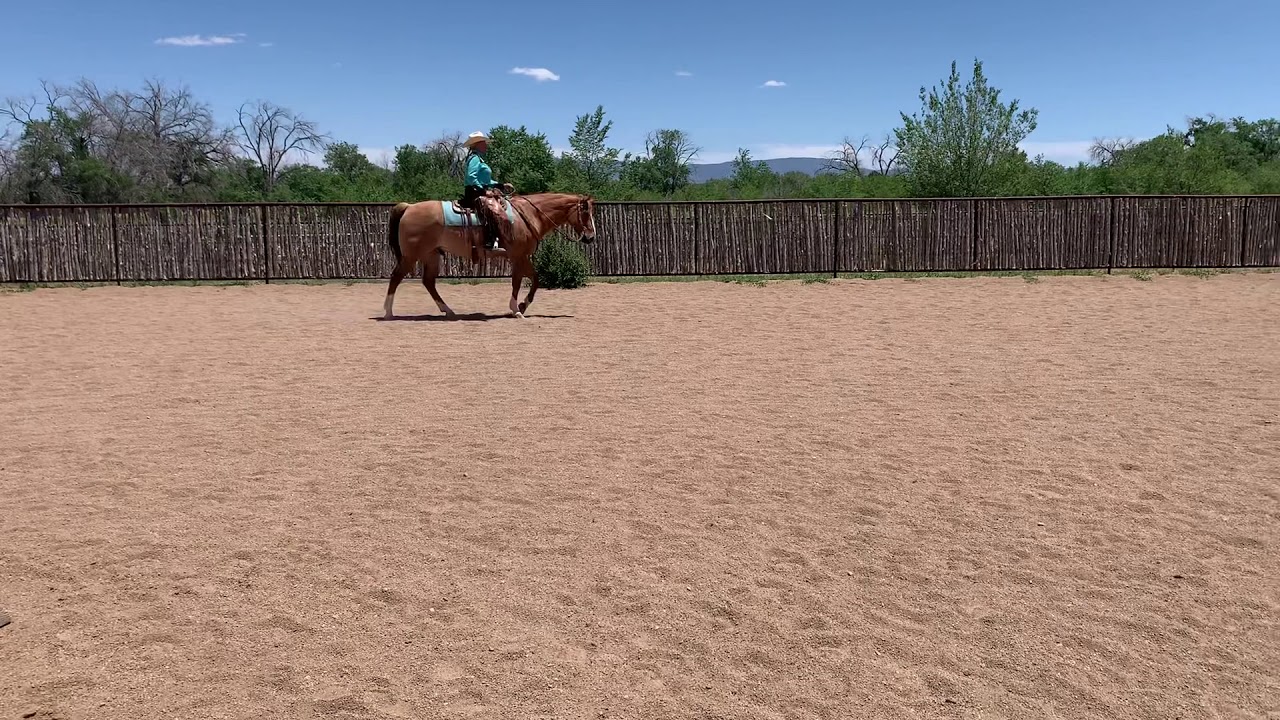 Margaret Masterson West Coast Ranch Horse Virtual Show - YouTube