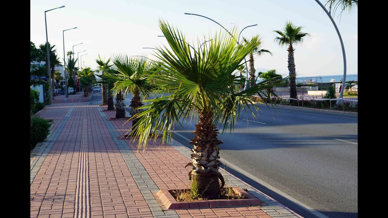 Alanya Oba Turkey - YouTube