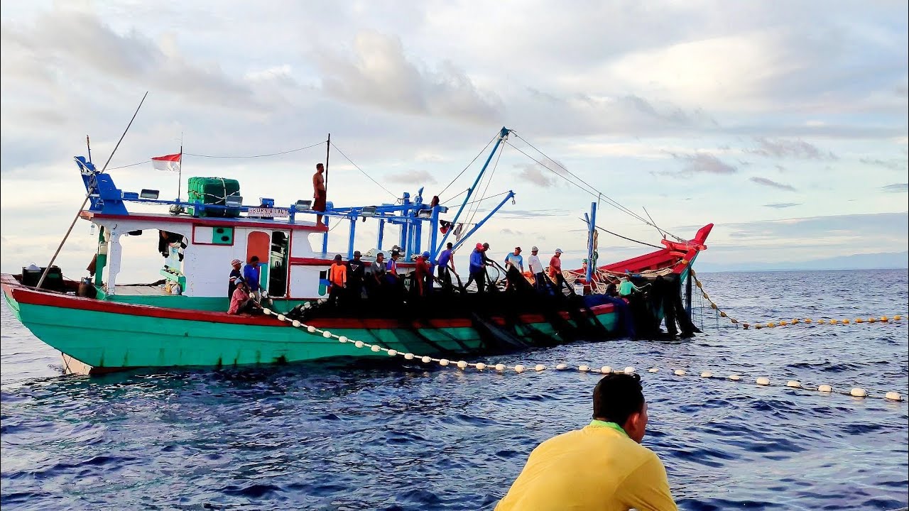 Jaring Pukat Cincin MENGEJUTKAN, Nelayan Indonesia Dapat Ikan Hampir ...