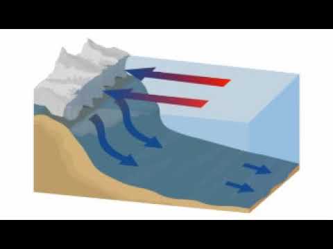 The Ocean Conveyor Belt - YouTube