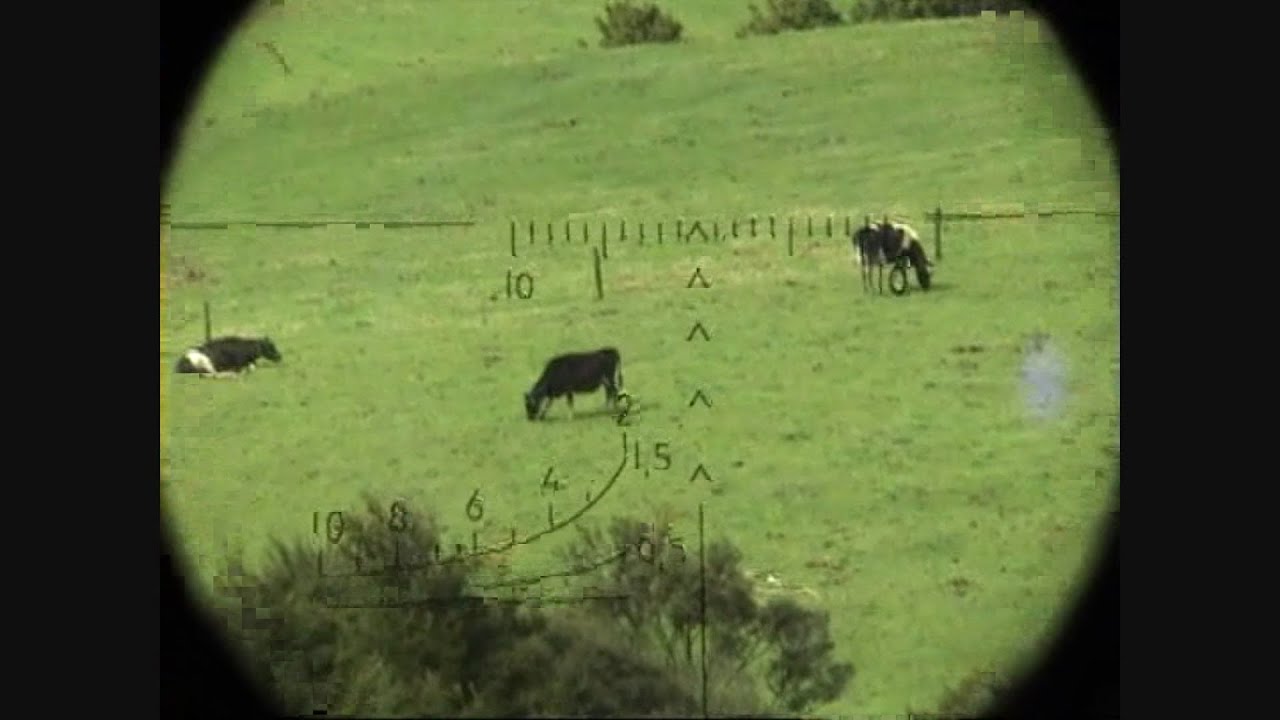 Izhmash Dragunov Tigr ( SVD ) part 2/3 - YouTube