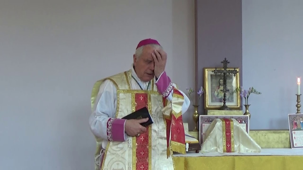 Bishop Richard Williamson - The Holy Family 2020 - YouTube