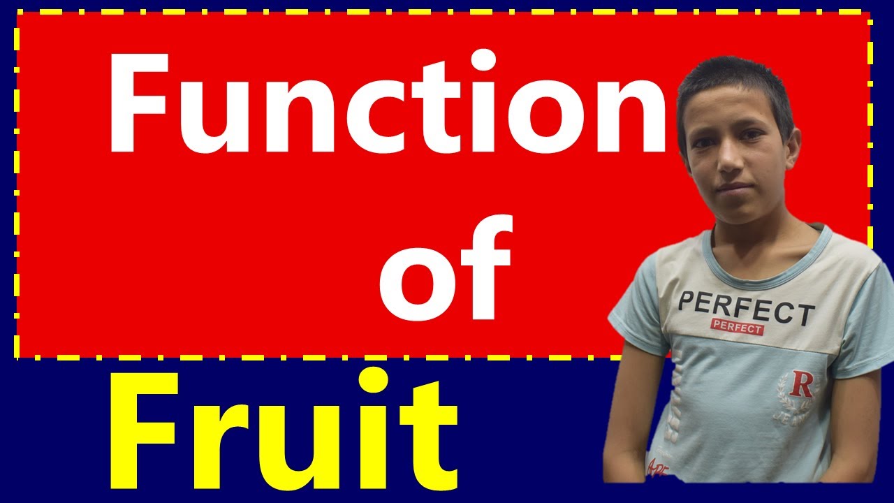 Function Of Fruit In Plants Structure And Function Of Plants Function Of Fruit In Plants Structure And Function Of Plants