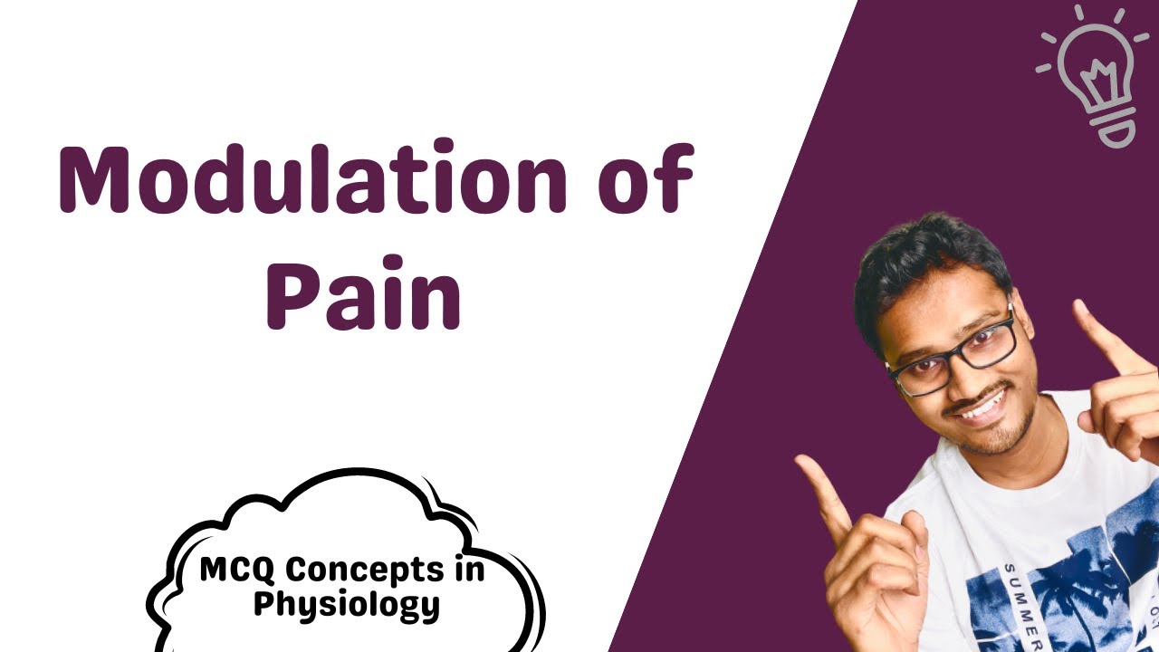 Modulation of Pain - Spinal & Supra Spinal levels - MCQ concepts - YouTube