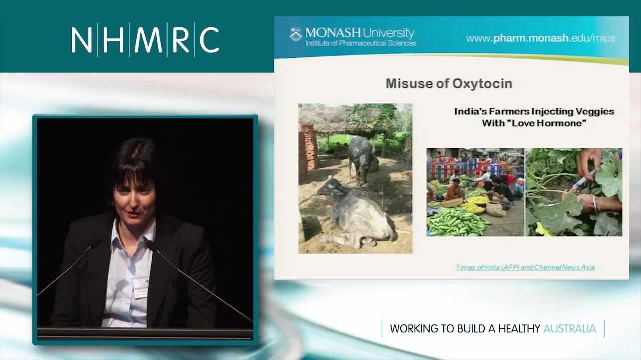 Research Translation into Practice: Successful Examples and Key ...