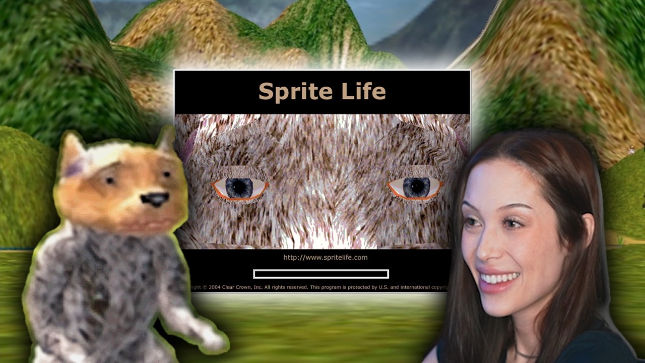 THE MOST OBSCURE GAME EVER?! - Sprite Life 2004 - YouTube