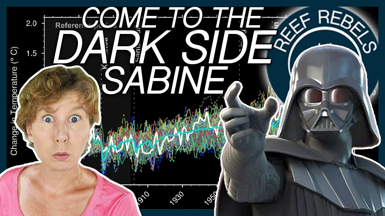 Sabine realises climate models have a nasty secret. But slightly misses ...