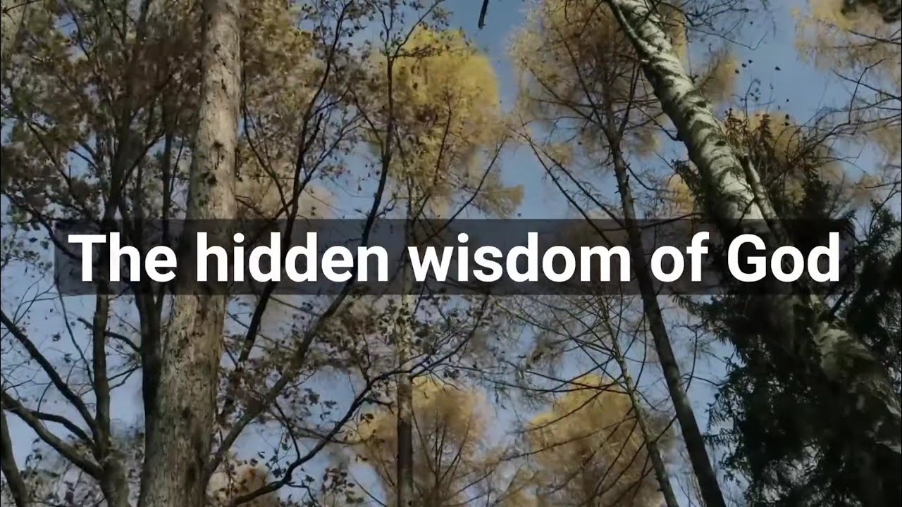 Word for the day - Hidden wisdom of God - YouTube