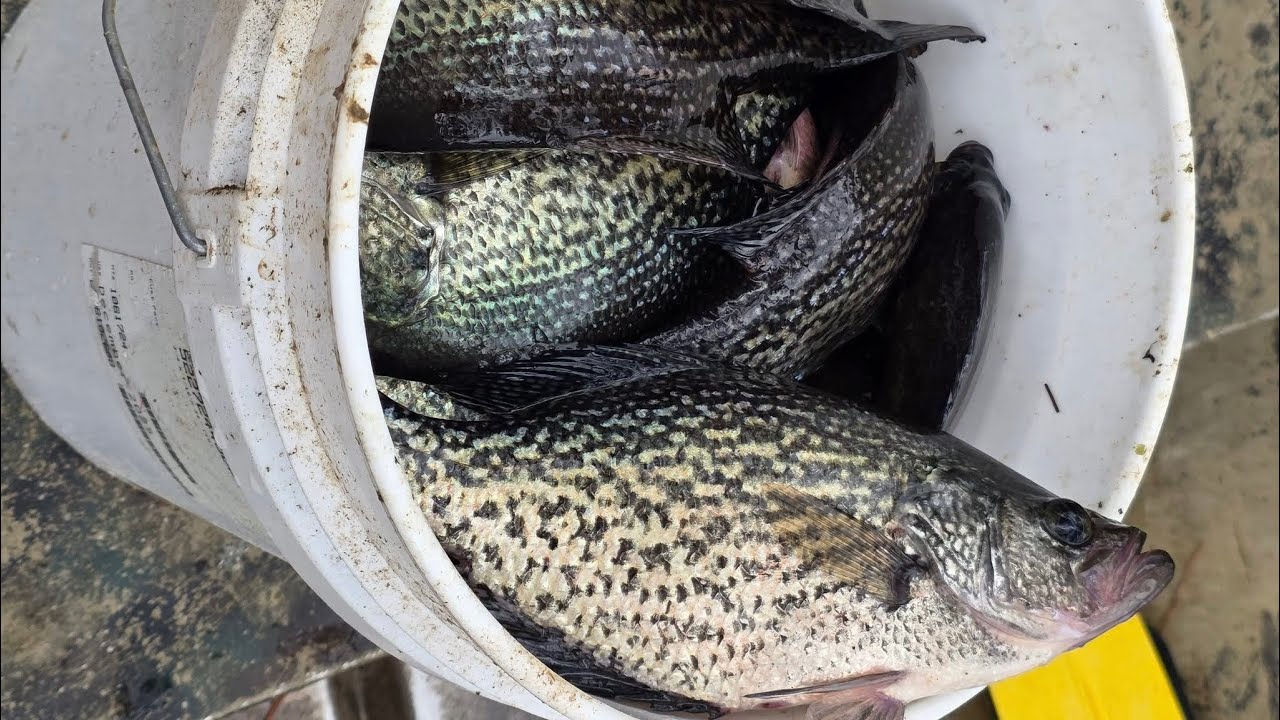 MN spring crappie fishing - YouTube