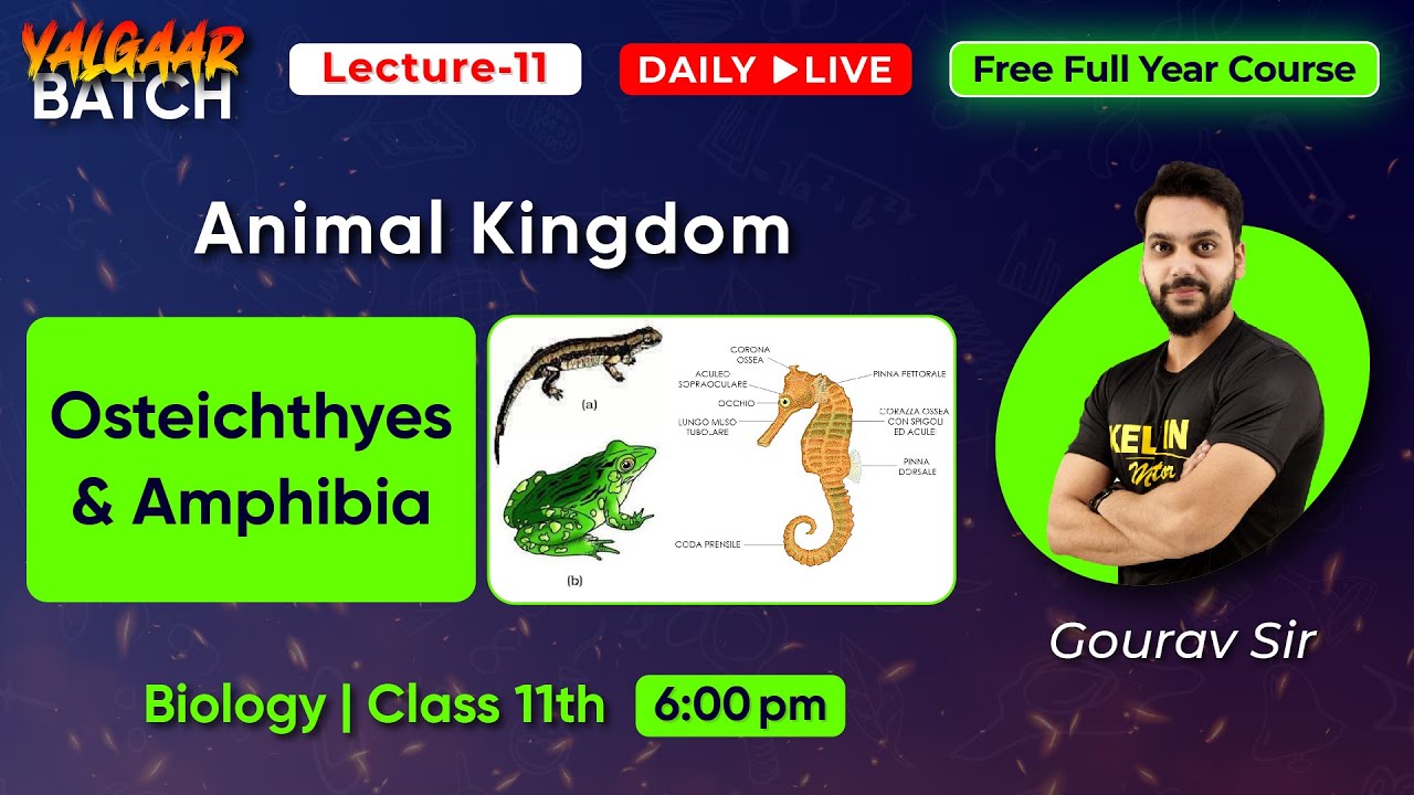 Class : Osteichthyes & Amphibia | Animal Kingdom | L-11 Class 11 NCERT ...
