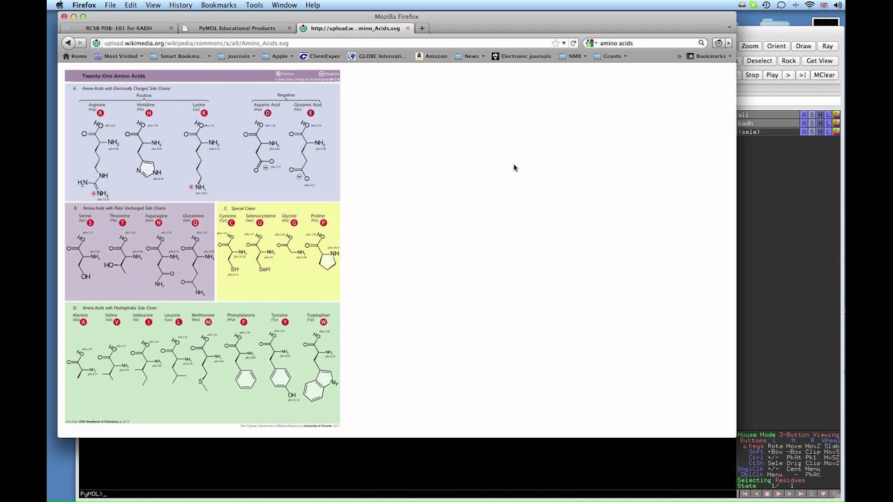 pymol 4, selecting multple amino acids - YouTube