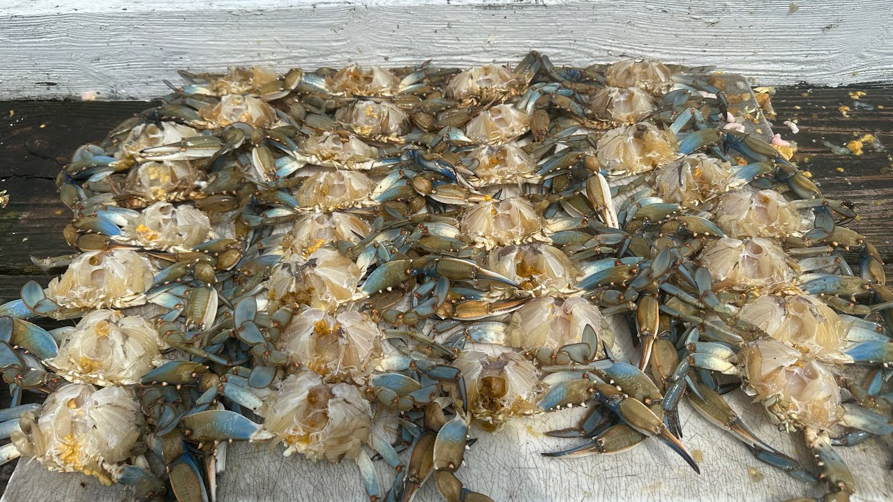 How to crab with topless traps. - YouTube