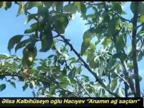Əlisa Hacıyev  \