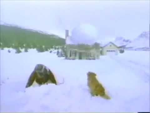 Nickelodeon Movies Logo "Snow Day" (2000) - YouTube