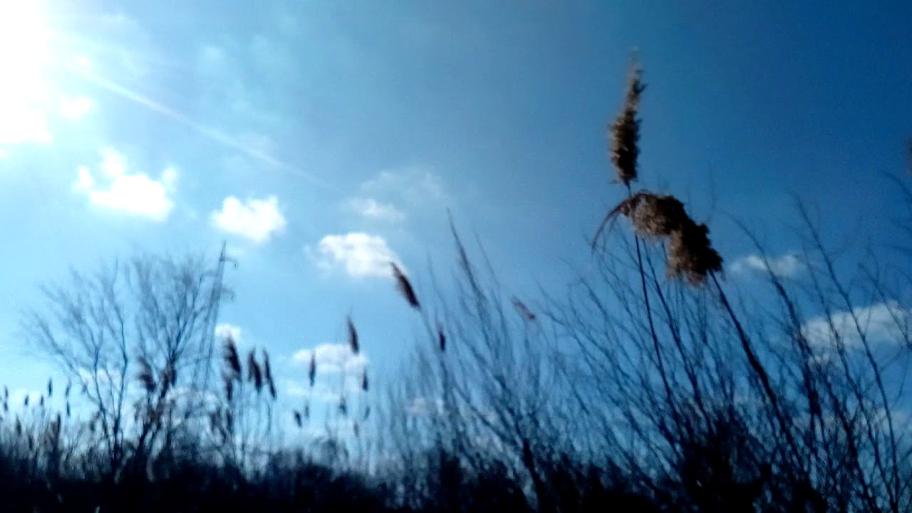 Topolya,Example Backa Topola,Topola,topolya, Gener Plus 4K CAM - YouTube