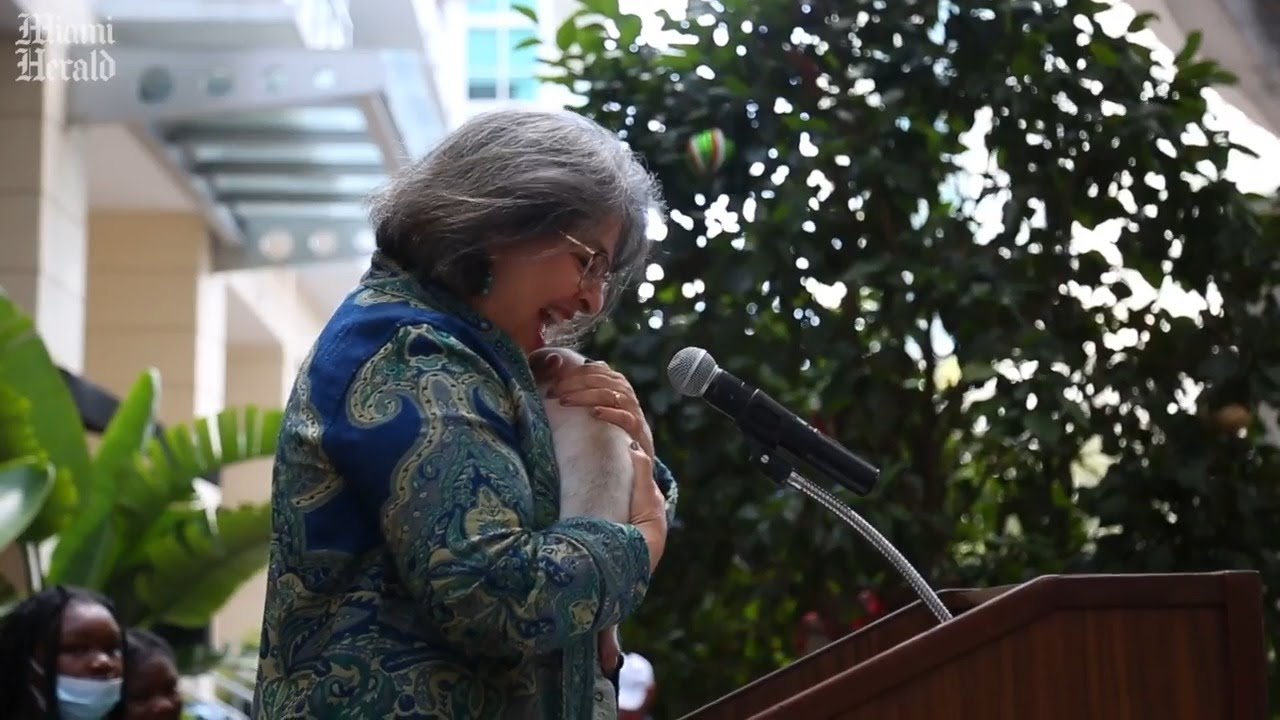 Miami-Dade mayor pardons four pigs for Nochebuena - YouTube
