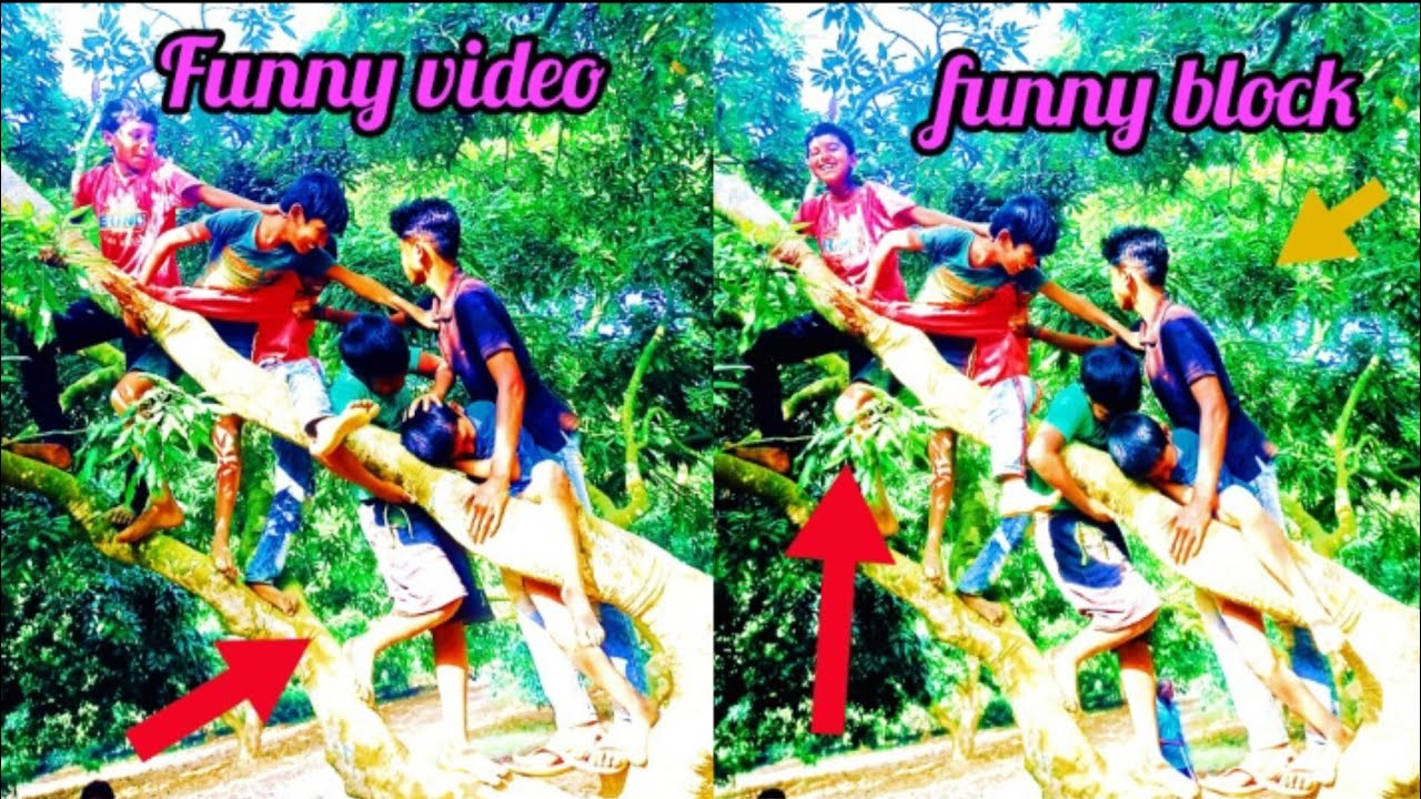 funny block 🤣funny videos /my biki/#funny #youtubevideo - YouTube