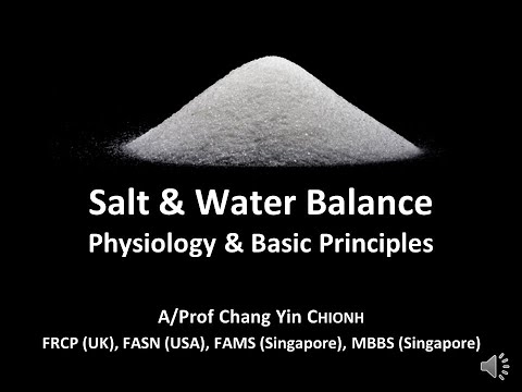 What Body System Controls Water And Salt Balance