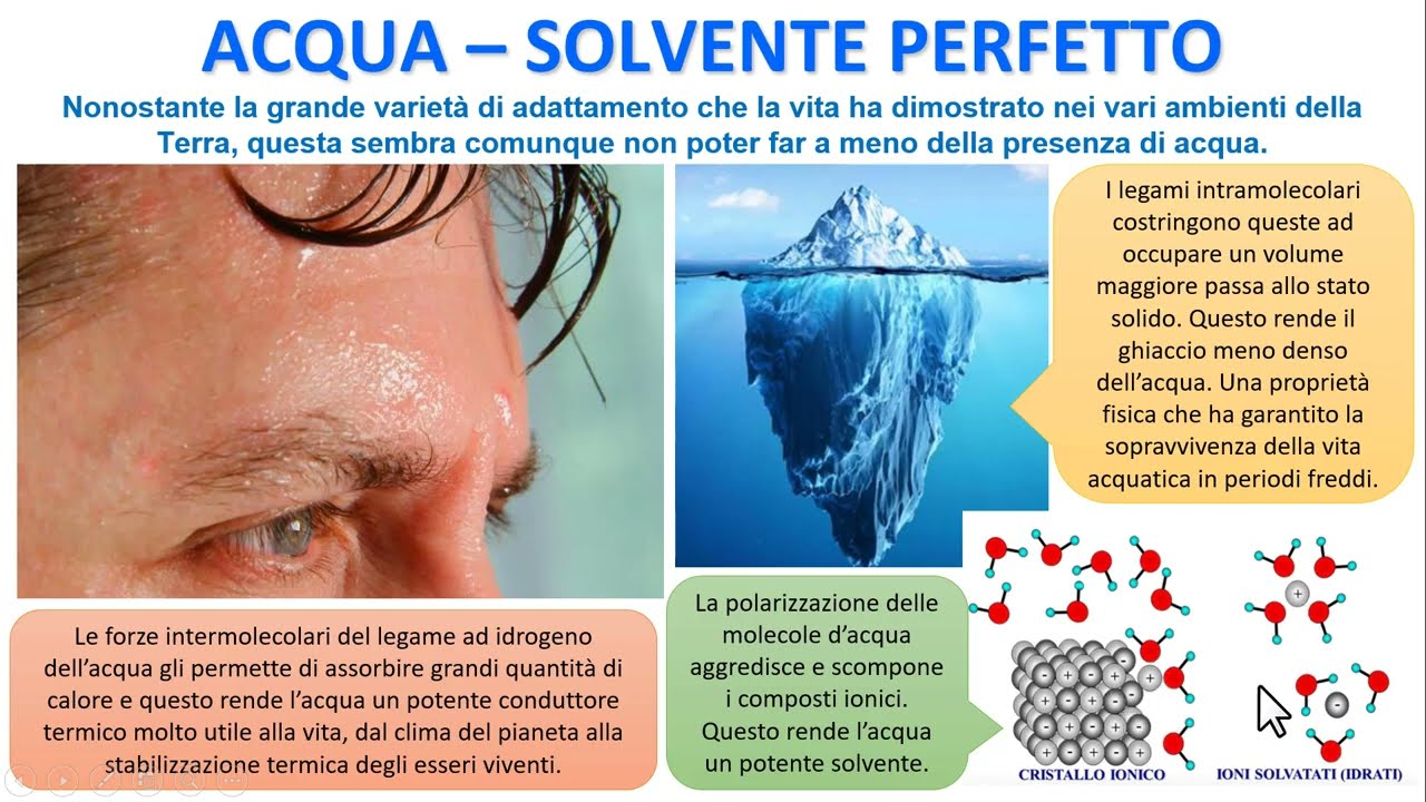 L'IMPORTANZA DELL'ACQUA PER LA VITA - YouTube