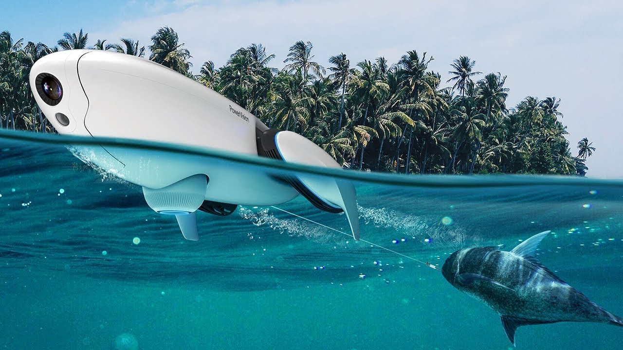 POWERVISION POWERDOLPHIN - YouTube