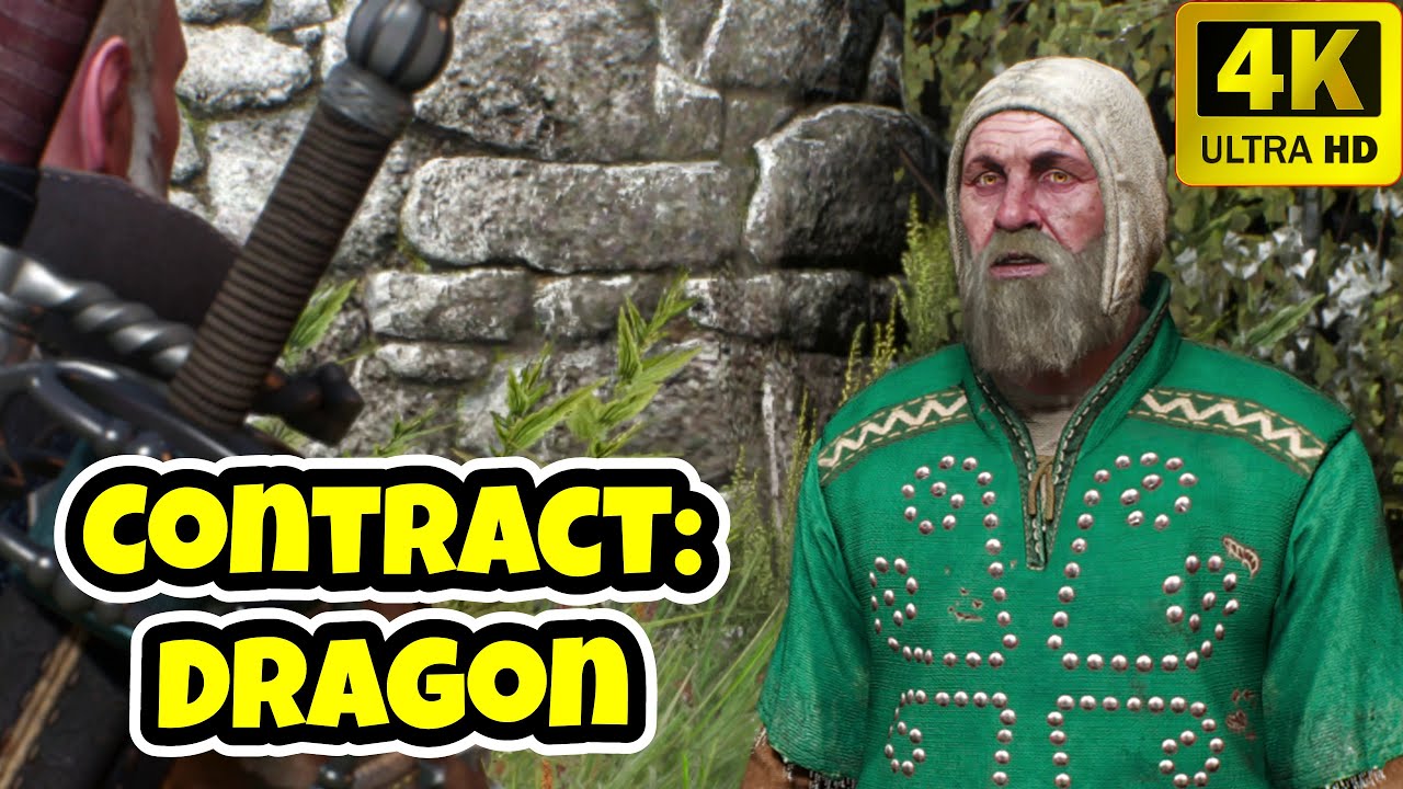 The Witcher 3 Contract: Dragon Walkthrough - YouTube