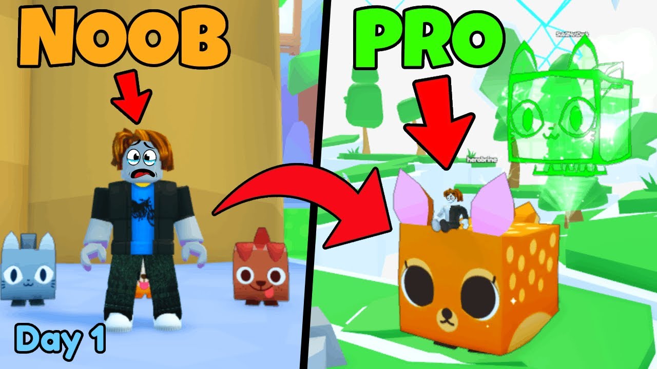 Noob To Pro With 0 ROBUX In Pet Simulator 99 (Day 1) - YouTube