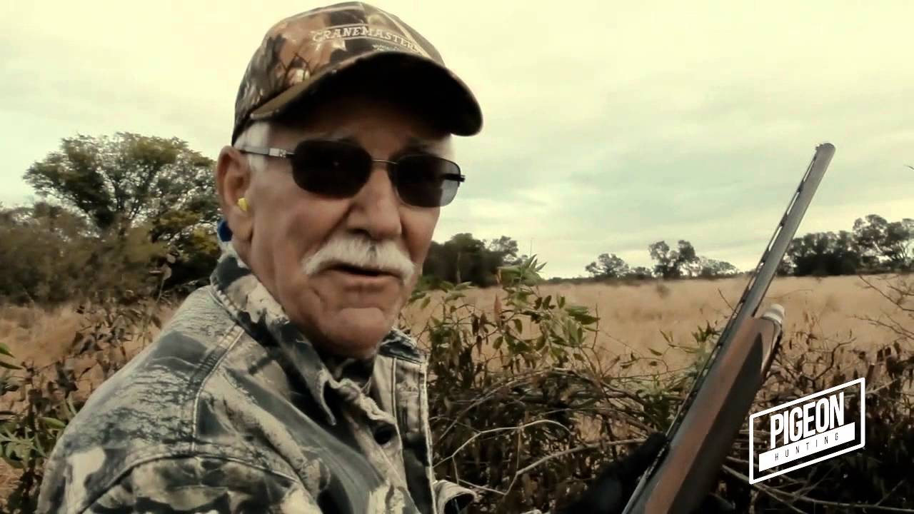 Pigeon hunting by Paco Riestra - YouTube