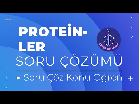 Proteinler Soru Çözümü | Soru Çöz Konu Öğren | TYT Biyoloji