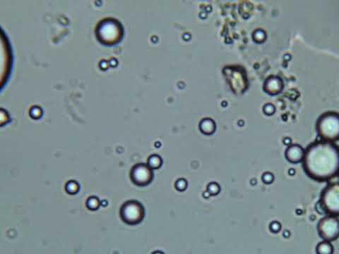 A-13 Colloids Video 7 - Video of Coffee Made with a Metal Filter Under ...